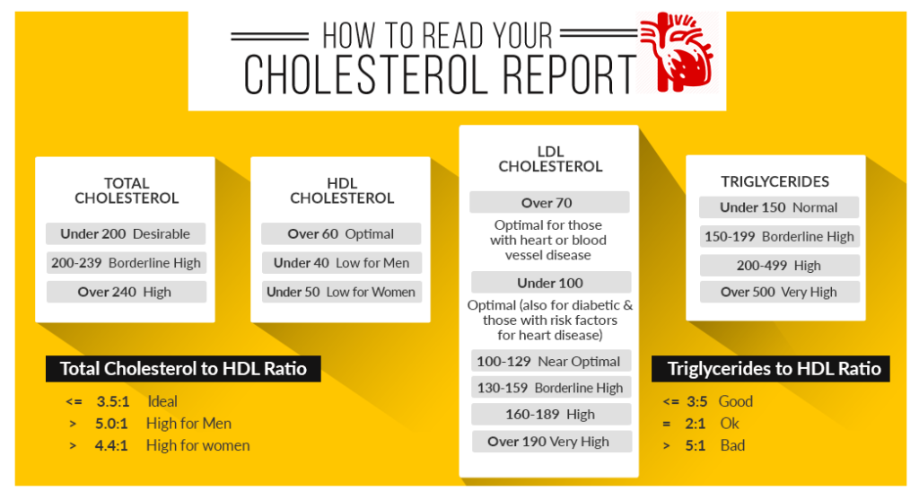 Demystifying Cholesterol: All About LDL, HDL & Triglycerides