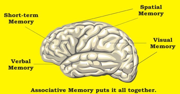 Short-Term Memory Loss: Causes, Symptoms, and Treatment